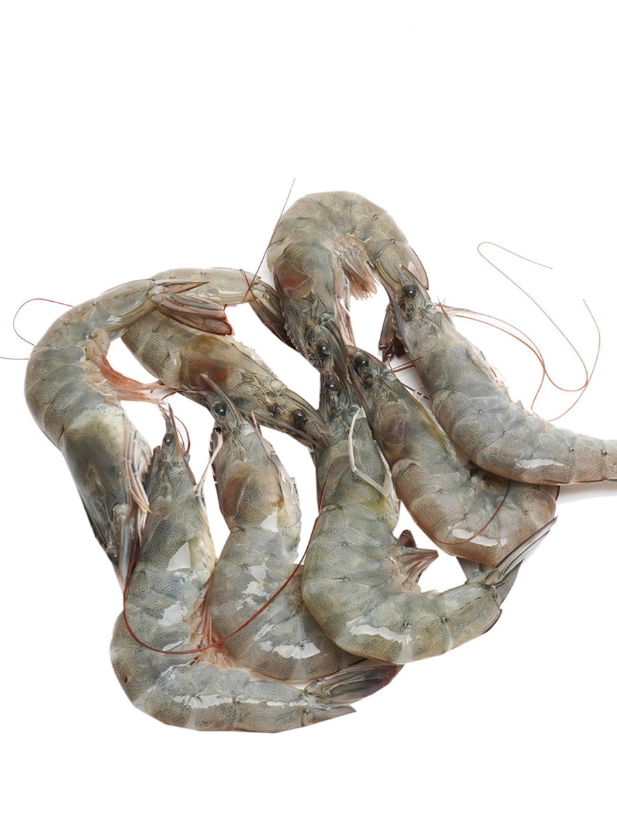 UDANG LAUT BESAR / KING PRAWN L (+/-500G) – Village Grocer - EkoCheras